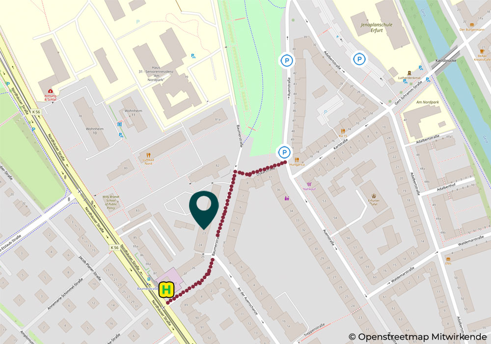 Maria Hering - Praxis